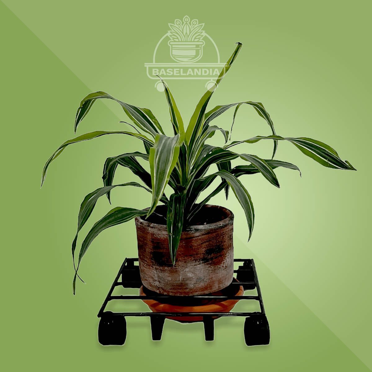 Bases para Macetas de Acero Resistentes y Elegantes. Baselandia