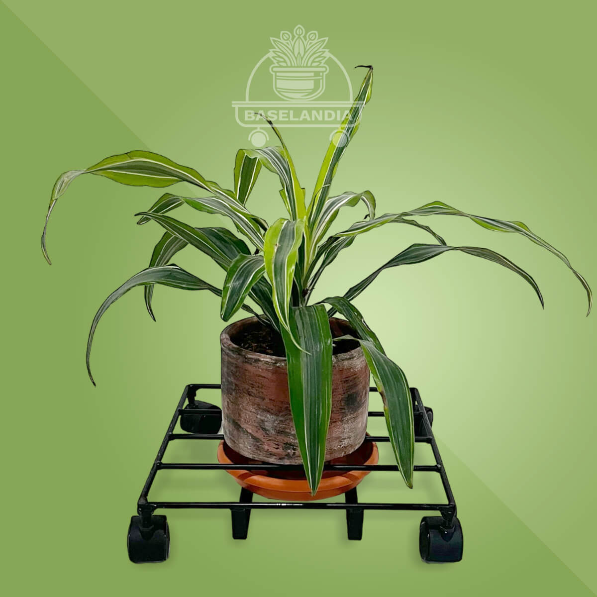 Bases para Macetas de Acero Resistentes y Elegantes. Baselandia