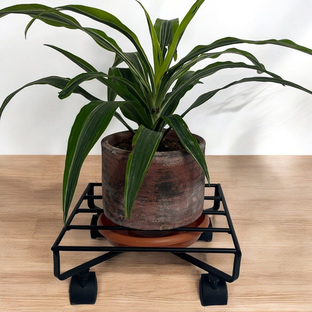 Modelo Sensic Base para Maceta 25x25 cm Alta Ruedas y Porta Plato ...