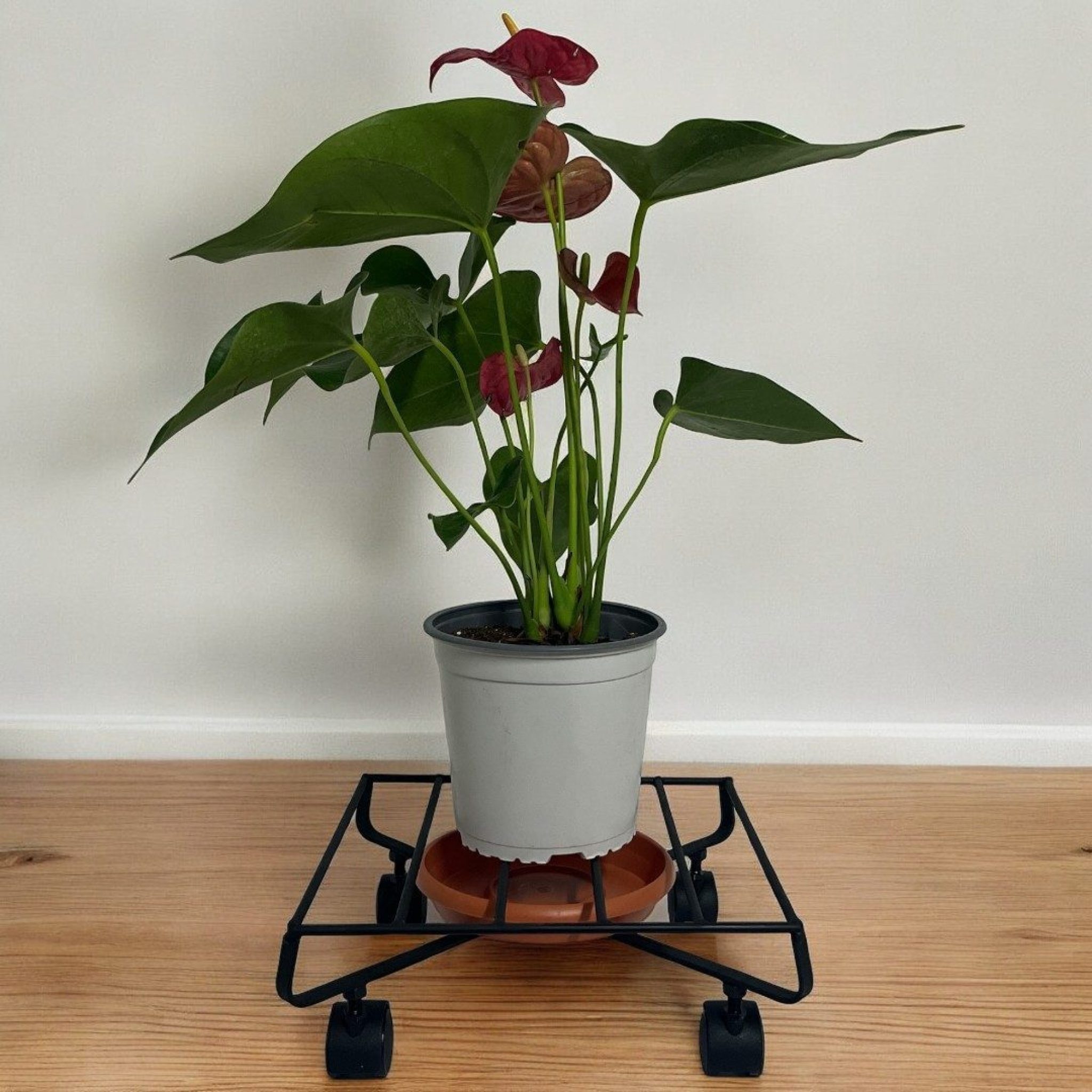 Bases para Macetas de Acero Resistentes y Elegantes. Baselandia