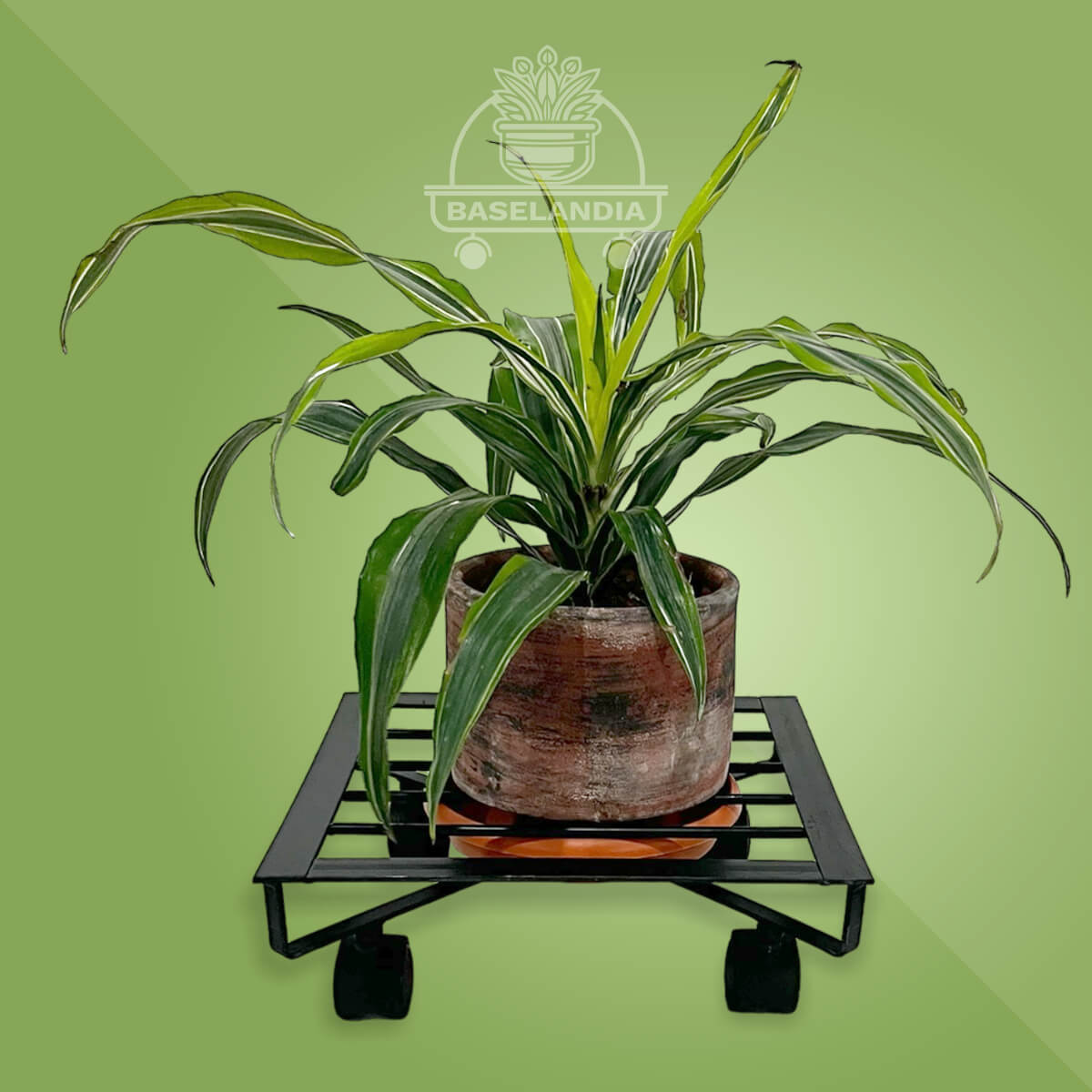 Bases para Macetas de Acero Resistentes y Elegantes. Baselandia